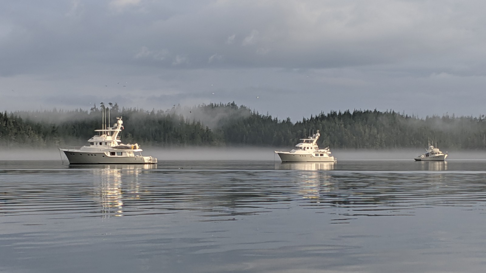 IMG_20190727_074436.jpg – Red Rover